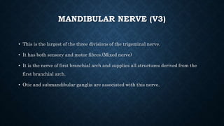 Trigeminal nerve and its course | PPTX