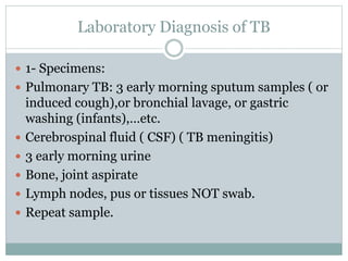 Tuberculosis MBBS FIRST YEAR MICROBIOLOGY | PPTX