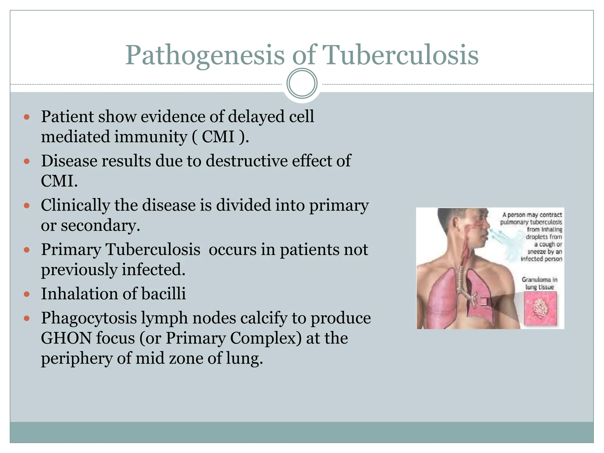 Impact of tuberculosis pathogenesis and management | PPTX