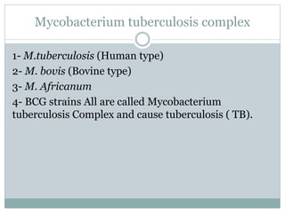 Impact of tuberculosis pathogenesis and management | PPTX