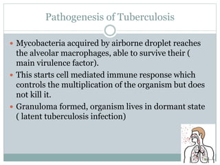 Impact of tuberculosis pathogenesis and management | PPTX