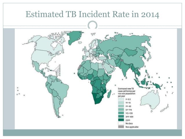 Impact of tuberculosis pathogenesis and management | PPT