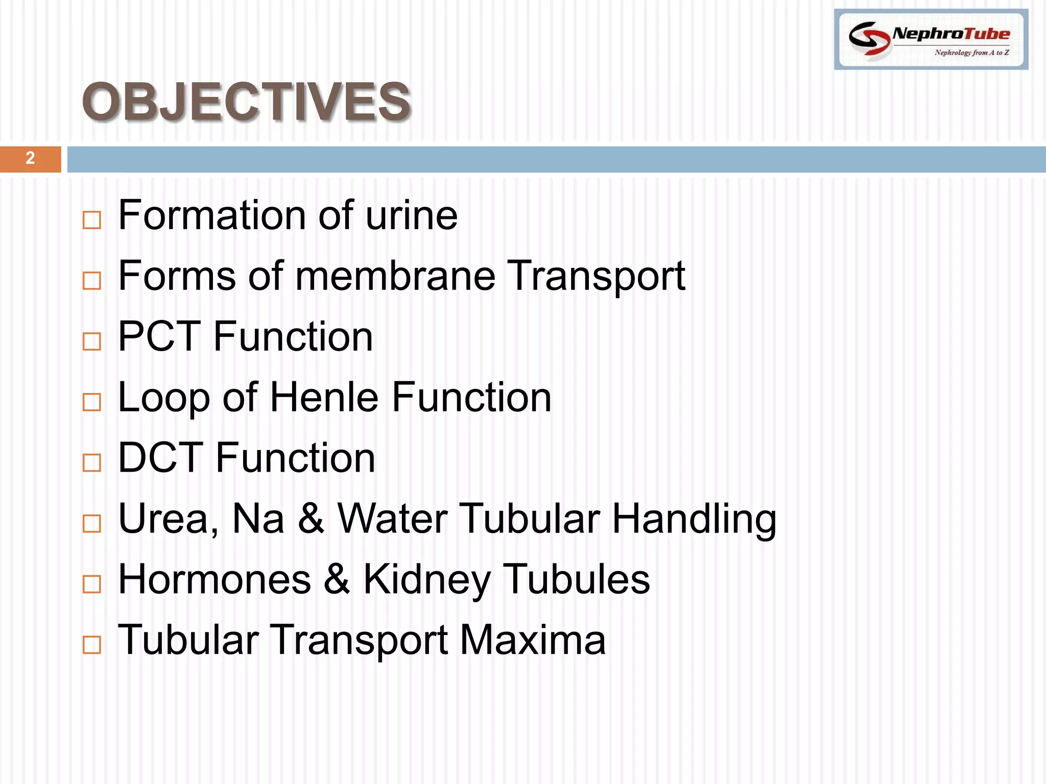 Renal Physiology (III) - Renal Tubular Processing - Dr. Gawad | PPT
