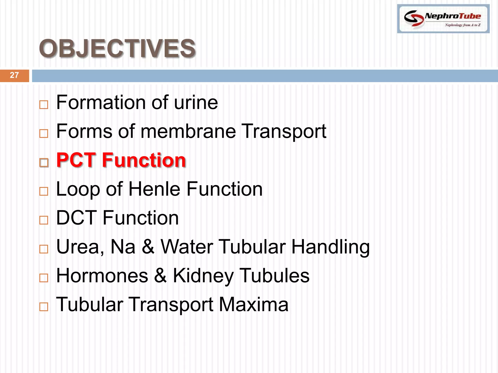Renal Physiology (III) - Renal Tubular Processing - Dr. Gawad | PPT