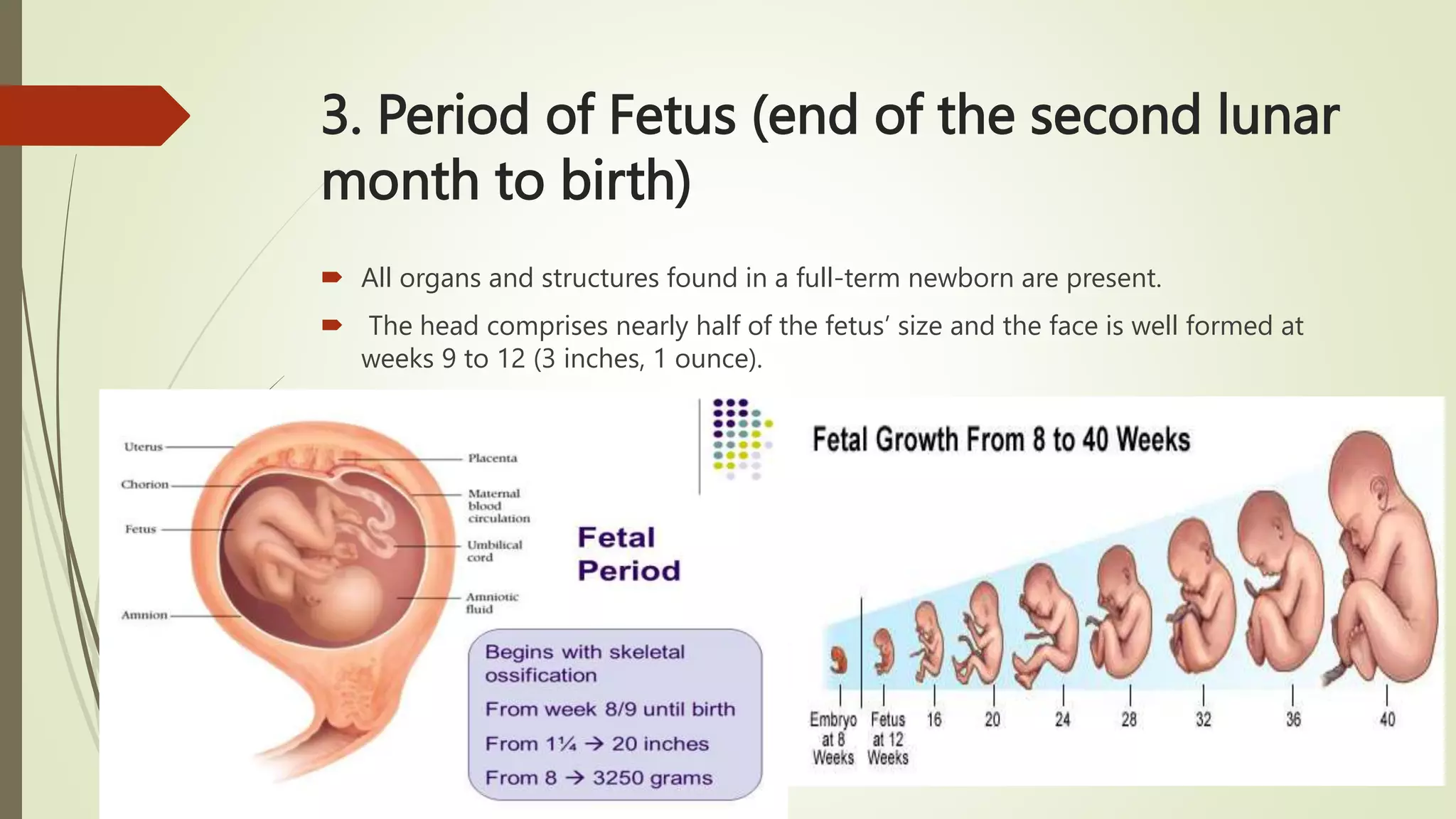 Human growth and Development- The beginning of life.pptx