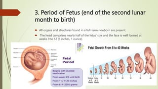 Human growth and Development- The beginning of life.pptx