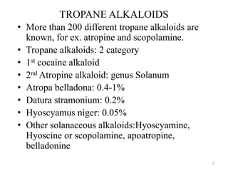 3-Unit-2-belladona.pptx