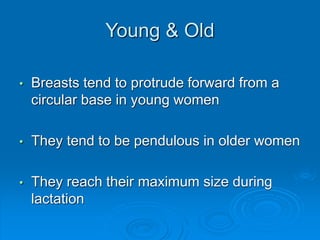 3-Upper Limb breast.pptx