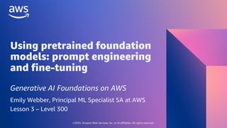 Using pretrained FM Models AWS prompt engineering | PDF