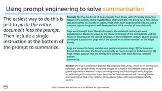 Using pretrained FM Models AWS prompt engineering | PDF
