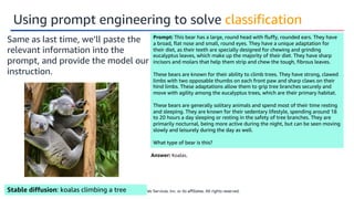 Using pretrained FM Models AWS prompt engineering | PDF