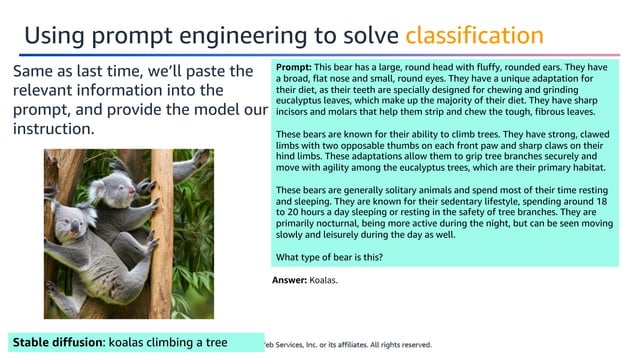 Using pretrained FM Models AWS prompt engineering | PDF
