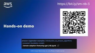 Using pretrained FM Models AWS prompt engineering | PDF