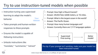 Using pretrained FM Models AWS prompt engineering | PDF