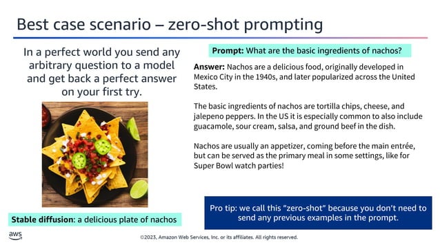 Using pretrained FM Models AWS prompt engineering | PDF