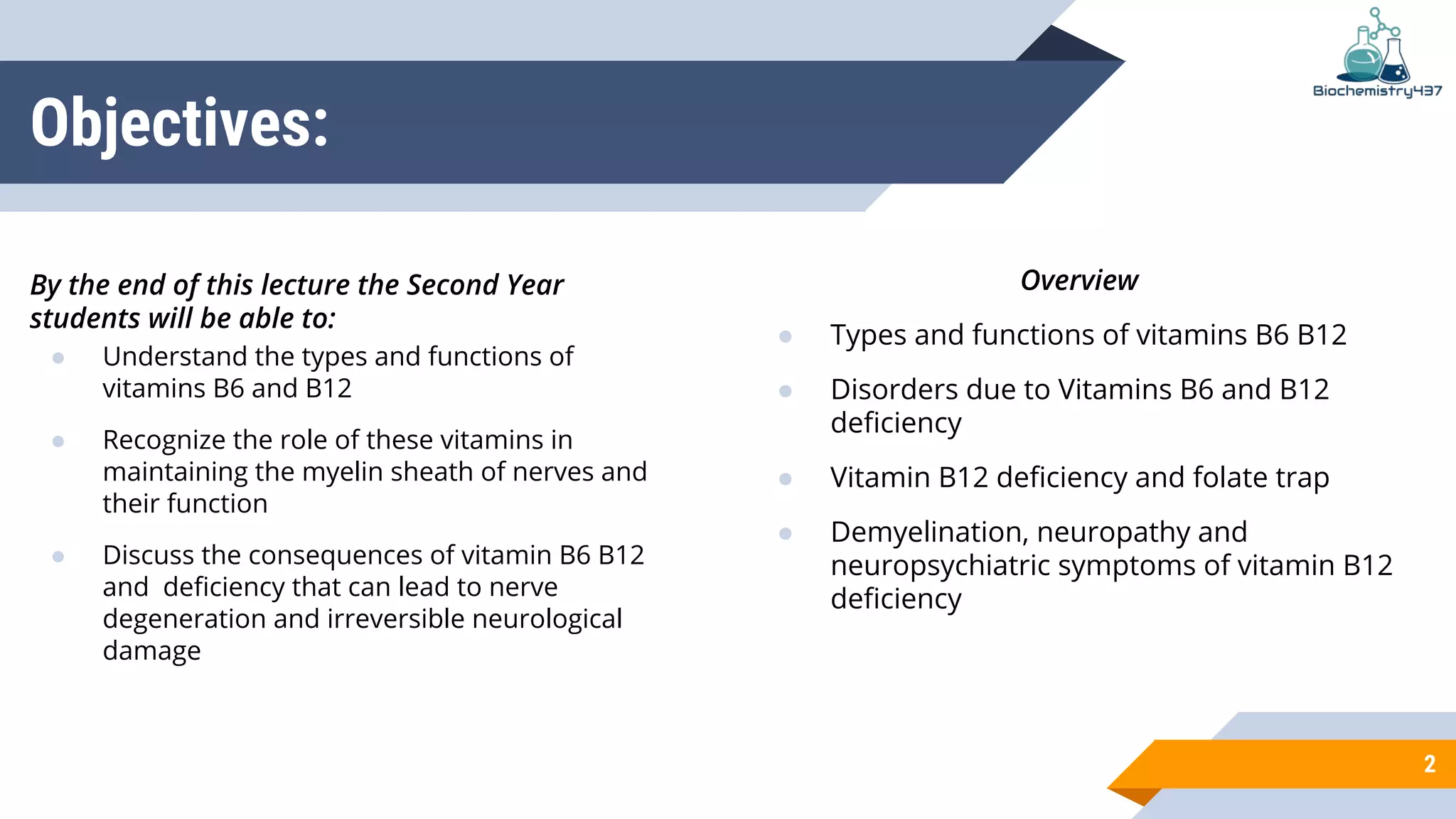 3-VitB6 &B12.pdf