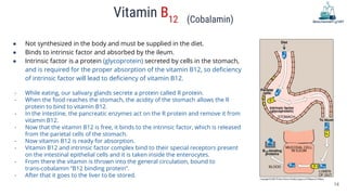 3-VitB6 &B12.pdf