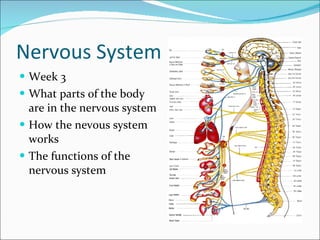 III Sem - Week 1 - Introduction | PPT