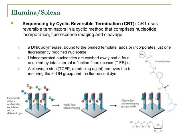 New Generation Sequencing Technologies: an overview