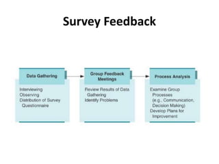 Survey feedback - comprehensive OD interventions - Organizational ...