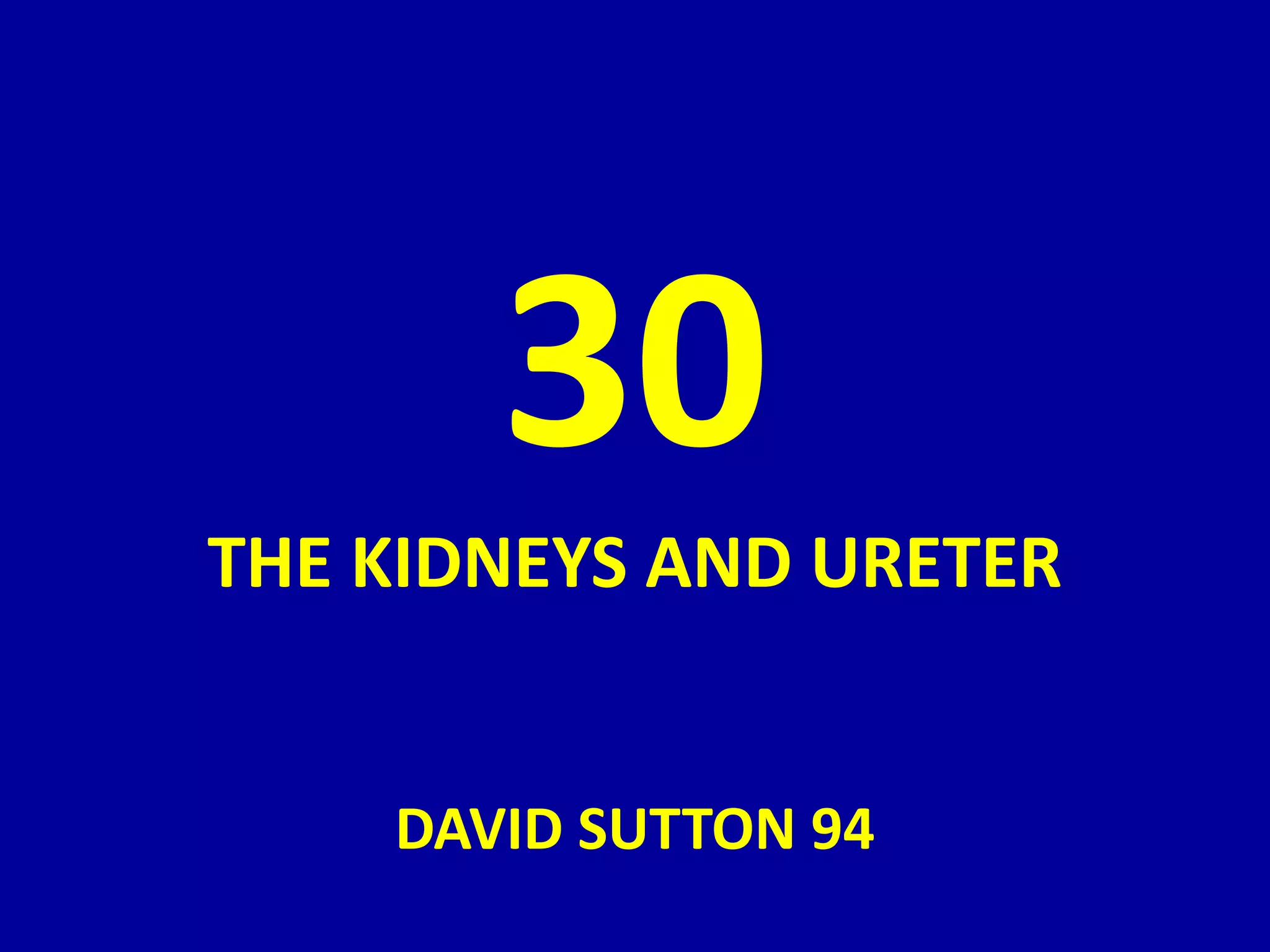 30 DAVID SUTTON PICTURES THE KIDNEY AND URETERS | PPT