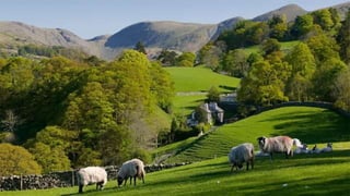 GEOGRAPHY IGCSE: FOOD INDUSTRY - RURAL ENVIRONMENTS | PPTX