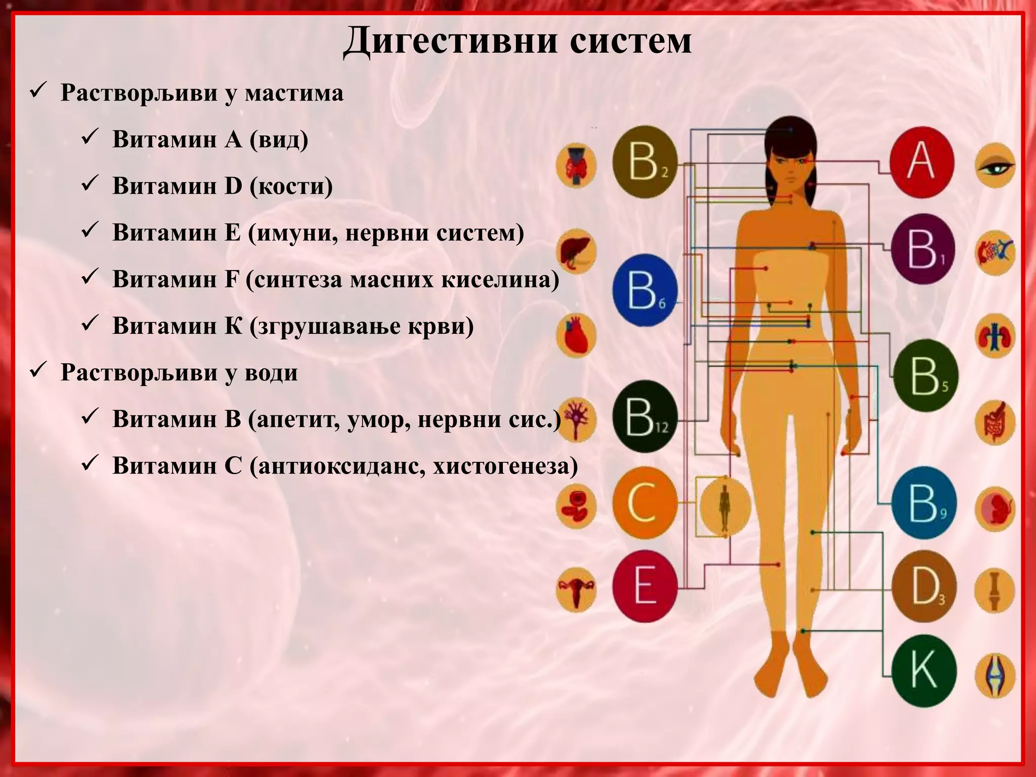 30. Sistem organa za varenje, anatomija i fiziologija | PPTX