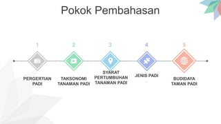 Budidaya Tanaman Padi | PPTX