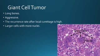 Giant Cell Lesions | PPTX