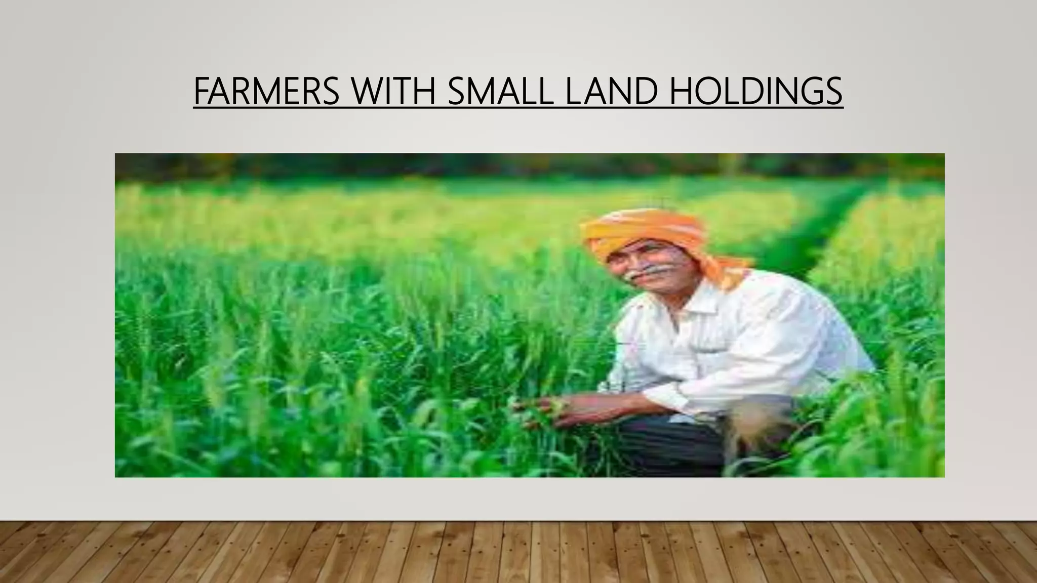 30. rural livelihoods | PPTX