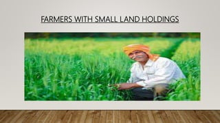 30. rural livelihoods | PPTX