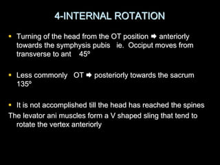 mechanism of labor.ppt