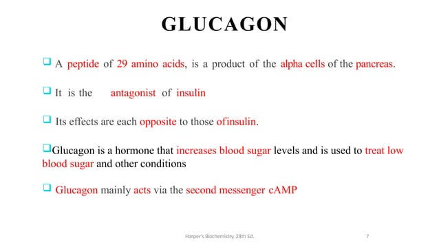 DPT - Biochemistry & Genetics - II (Hormones) Insulin & Glucagon | PPTX ...
