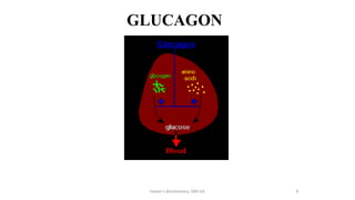DPT - Biochemistry & Genetics - II (Hormones) Insulin & Glucagon | PPTX