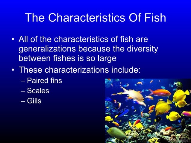 Fishes | PPT