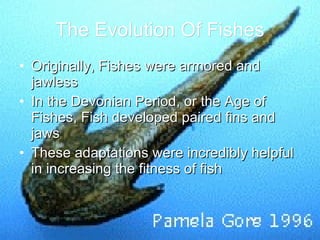 Fishes | PPT