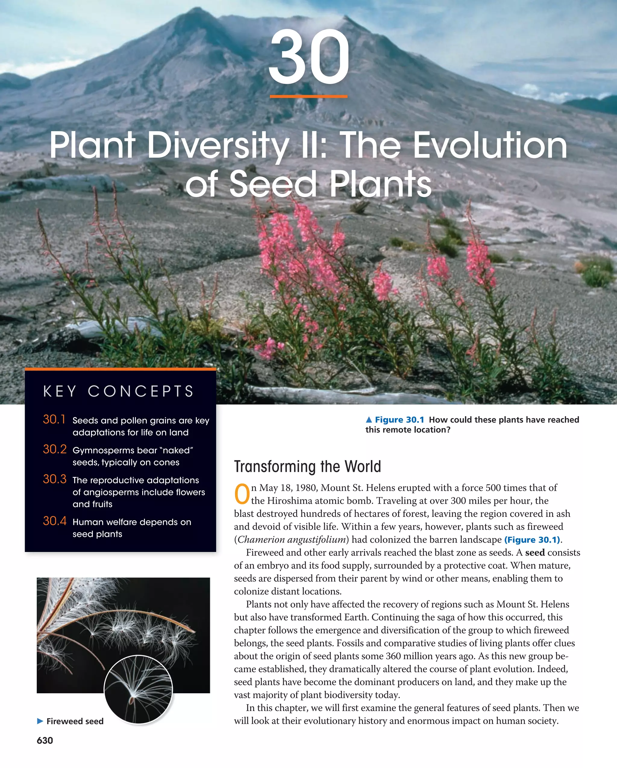 30 plant diversity ii-the evolution of seed plants | PDF