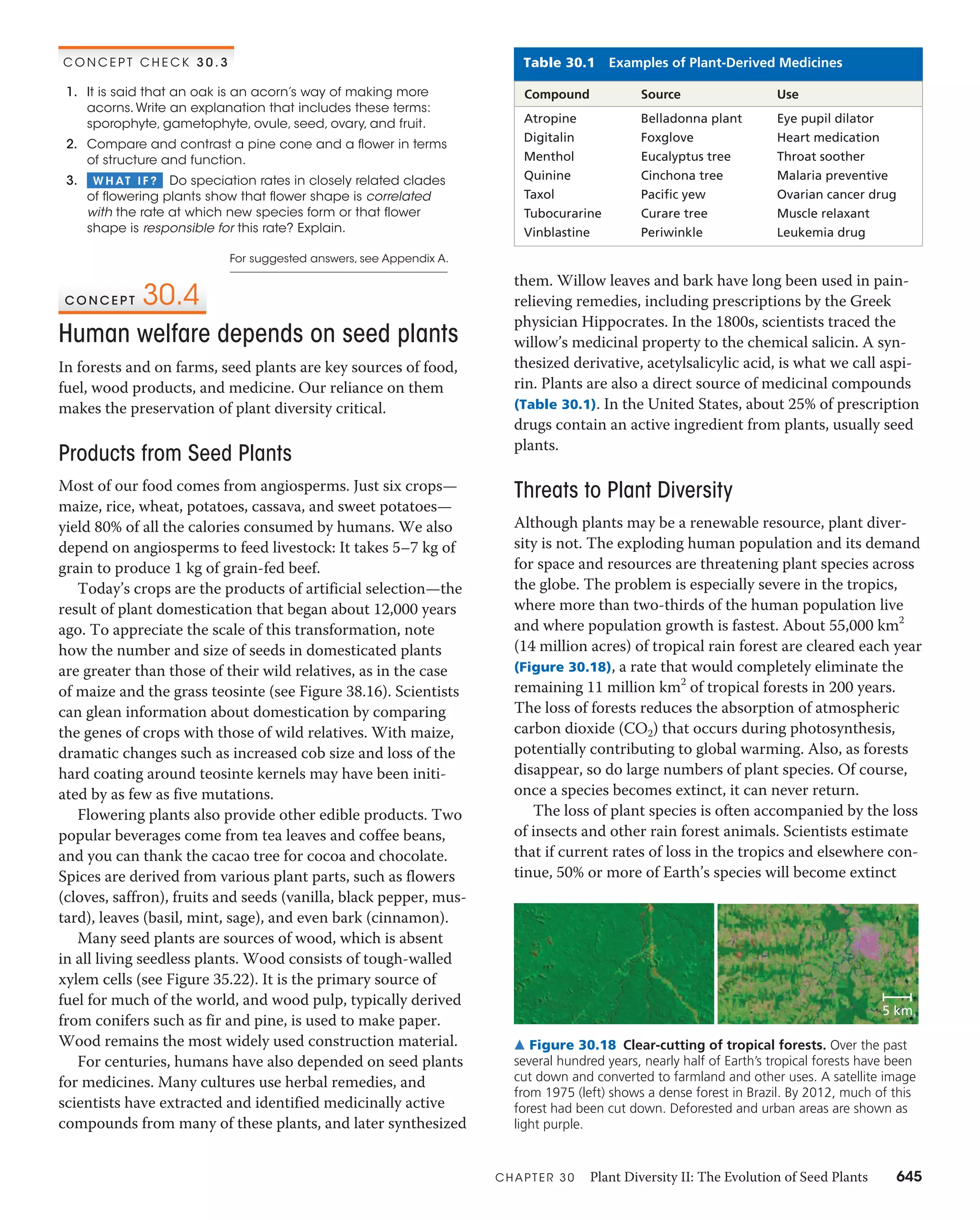 30 plant diversity ii-the evolution of seed plants | PDF