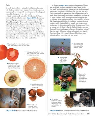 30 plant diversity ii-the evolution of seed plants | PDF