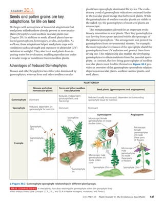 30 plant diversity ii-the evolution of seed plants | PDF