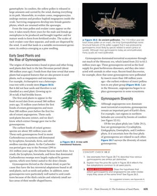 30 plant diversity ii-the evolution of seed plants | PDF
