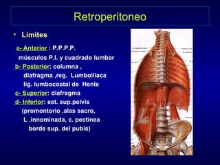 30 Retroperitoneo Renal | PPT