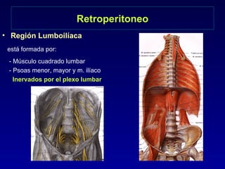 30 Retroperitoneo Renal | PPT