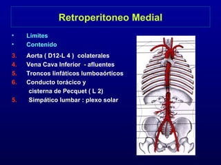 30 Retroperitoneo Renal | PPT