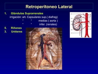 30 Retroperitoneo Renal | PPT