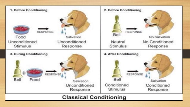 Behavioral Views of Learning | PPT