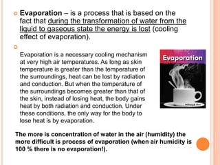 30-Thermoregulation (Iryna ma'am).pptx