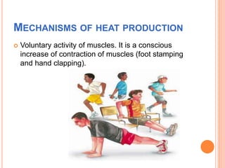 30-Thermoregulation (Iryna ma'am).pptx