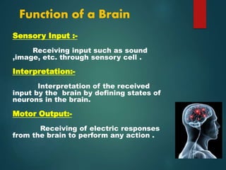 blue brain | PPT