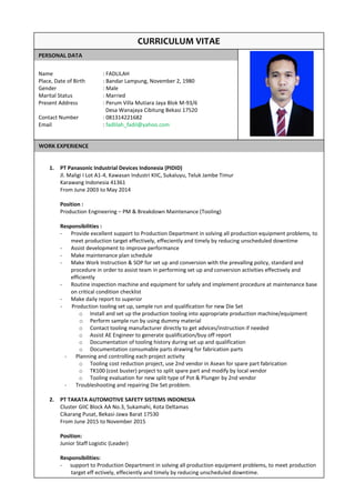 Cv complit | PDF | Manufacturing Industry | Industries